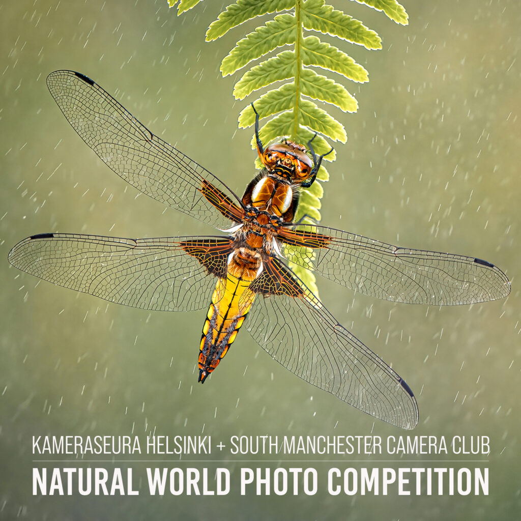 Kameraseura | NATURAL WORLD PHOTO COMPETITION 2023